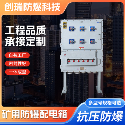 BXM(D)系列防爆照明304不锈钢配电柜(ⅡB)（IIC) - 创瑞电气