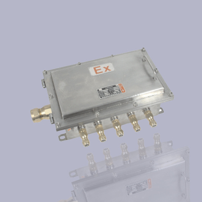 BJX-防爆接线箱（IIB、IIC、DIP） - 创瑞电气